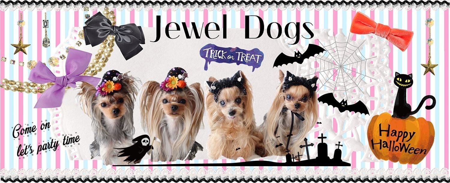 Jewel Dogs